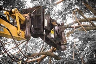 Rotating Tree Limb Shear for Excavators | Dymax Inc Attachments