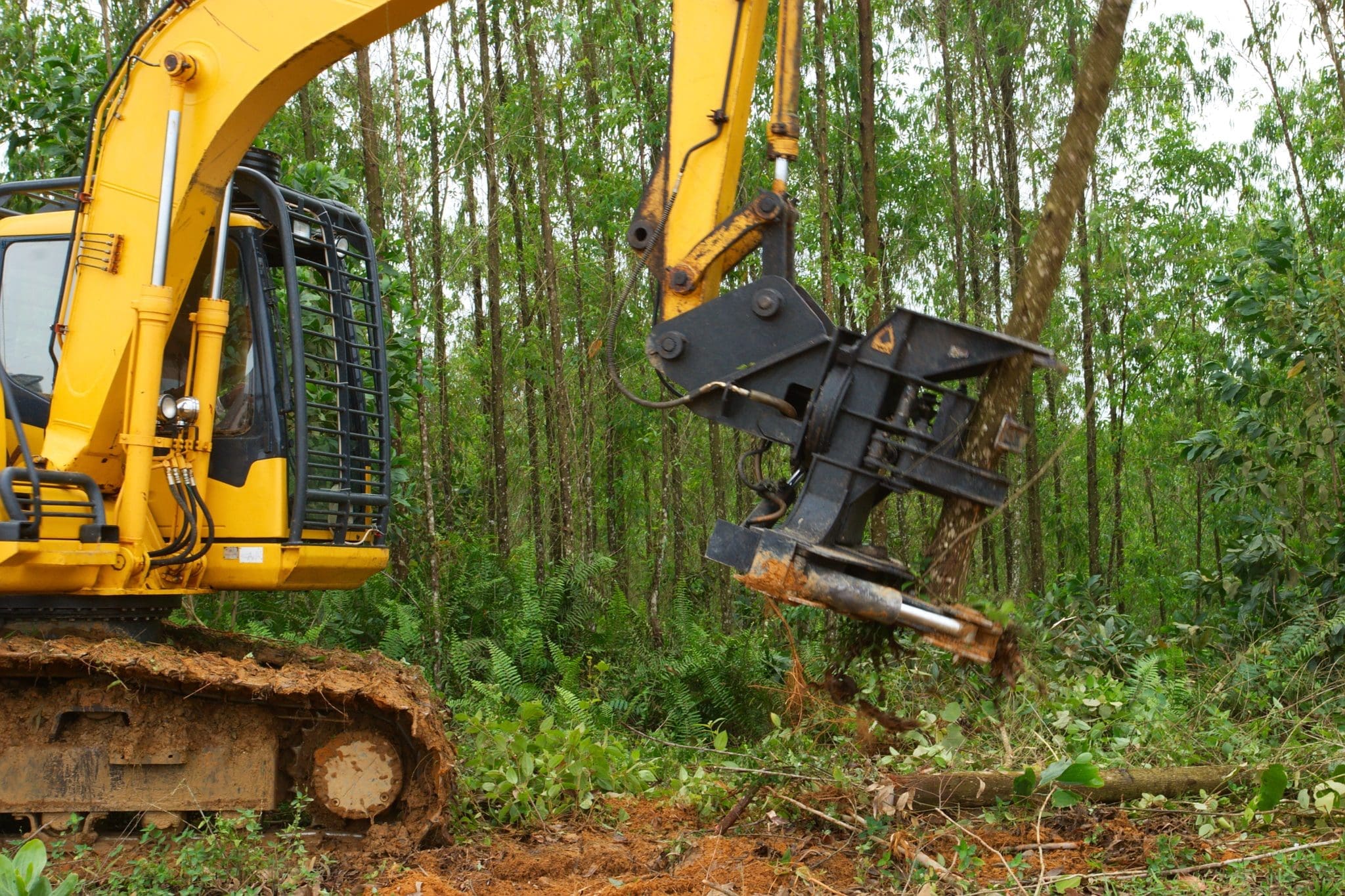 Dymax HPX14 Tree Shear - Dymax Inc